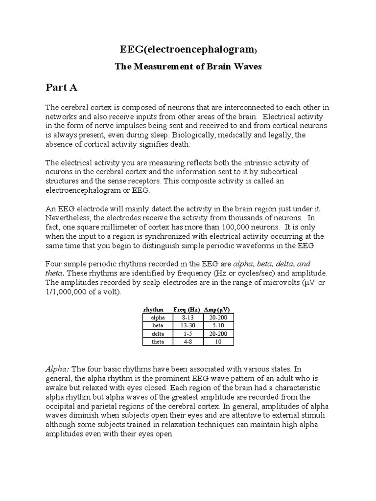 EEG (Electroencephalogram: The Measurement of Brain Waves | PDF ...