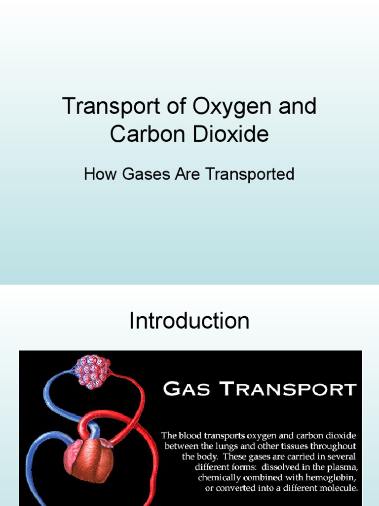 Oxygen and Carbon Dioxide Transport | PDF | Hemoglobin | Blood