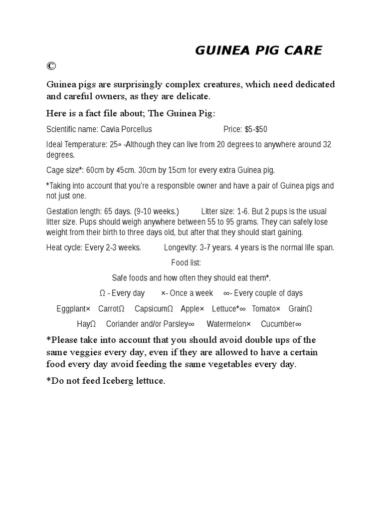 Guinea Pig Care © | PDF | Guinea Pig | Domesticated Animals
