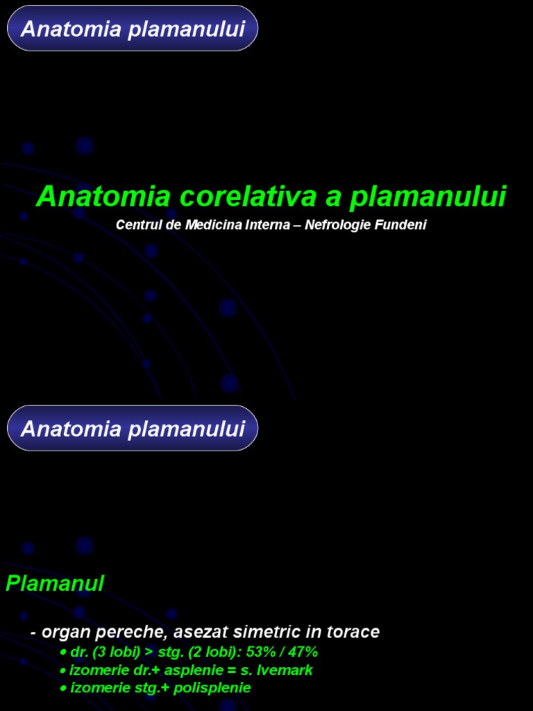 Anatomie Plaman | PDF