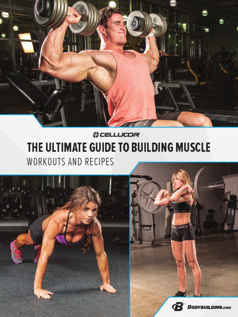The Ultimate Guide To Building Muscle PDF | PDF
