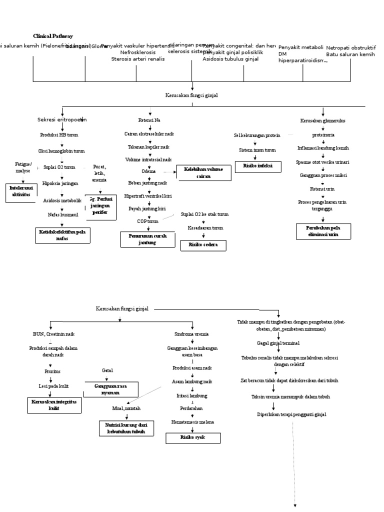 Pathways CKD | PDF
