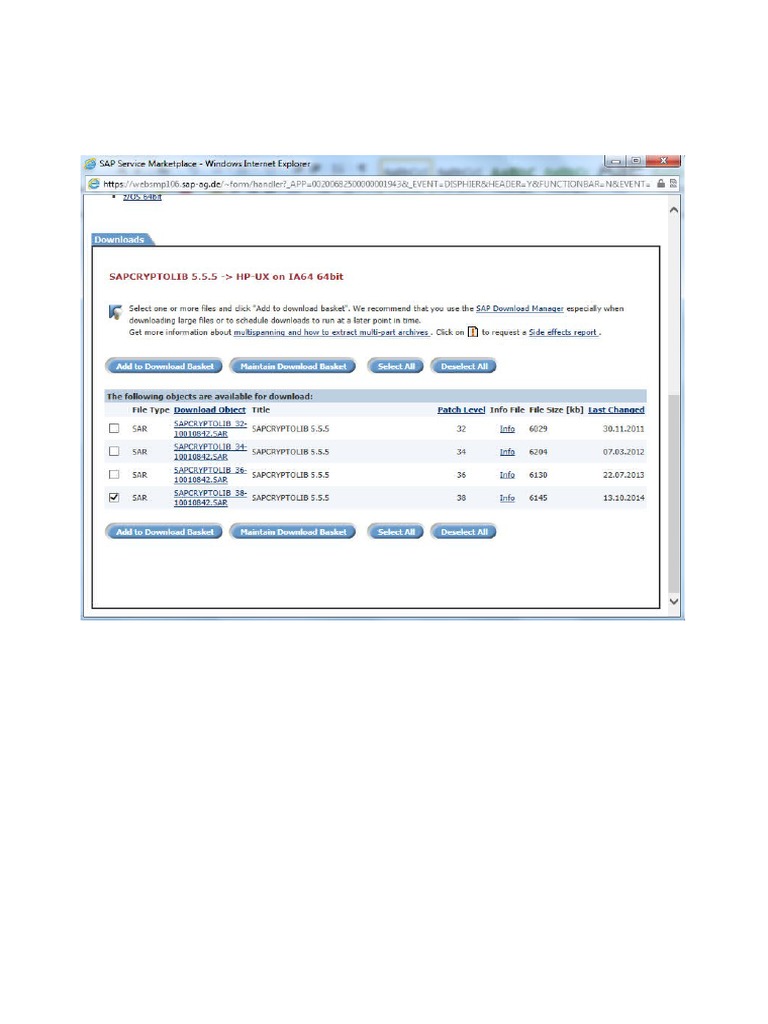 SAPCRYPTOLIB Screenshot | PDF