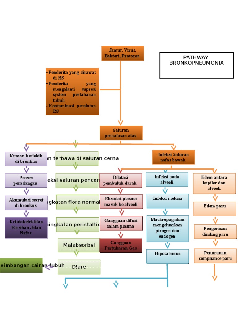 Pathway Bronkopneumonia | PDF