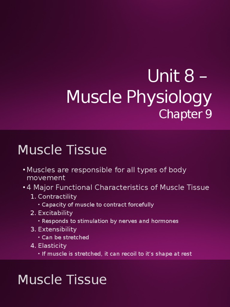 017 Muscle Physiology | PDF | Muscle Contraction | Chemical Synapse