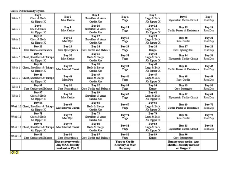 P90X Classic-Insanity Hybrid v2 | PDF | Anatomy | Physical Exercise