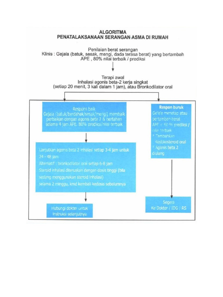 Algoritma Penatalaksanaan Serangan Asma | PDF