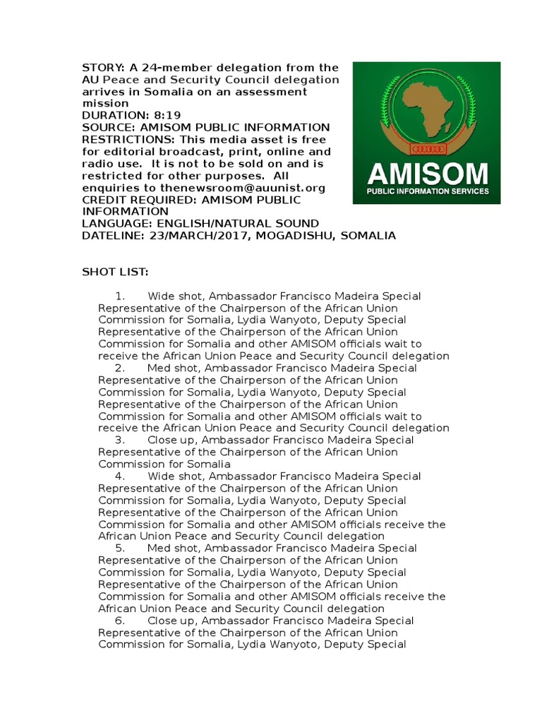 AU Peace Council Delegation in Somalia | PDF | African Union Mission To ...