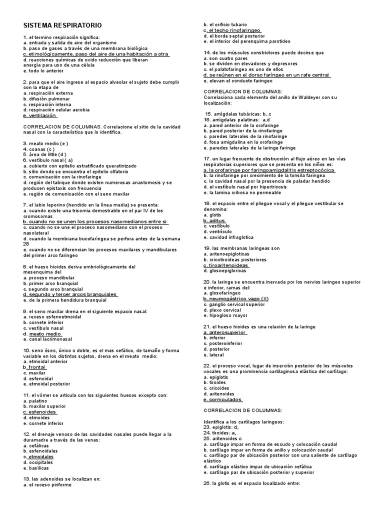 1 Depa Respi | PDF | Pulmón | Sistema respiratorio