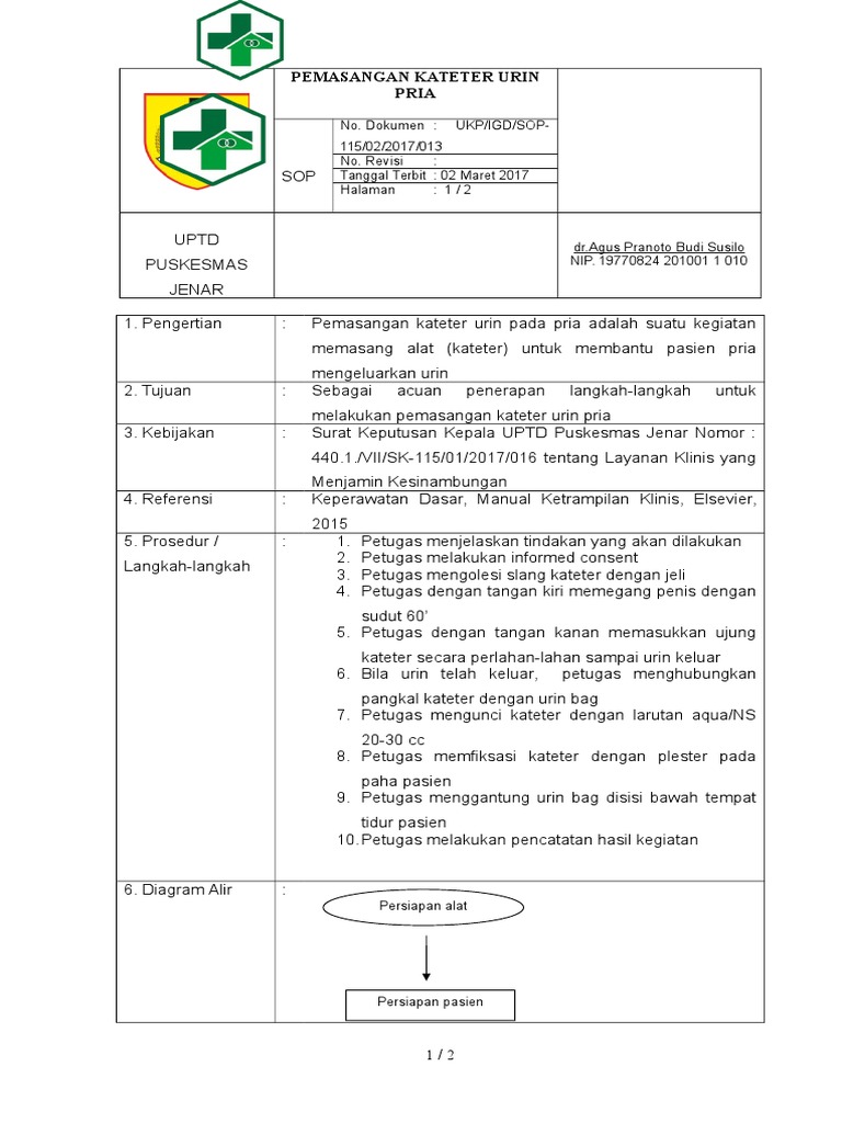 SOP Pemasangan Kateter PRIA | PDF
