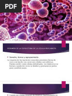 Acetato de Orceina: Colorante y Usos | PDF | Biología | Naturaleza