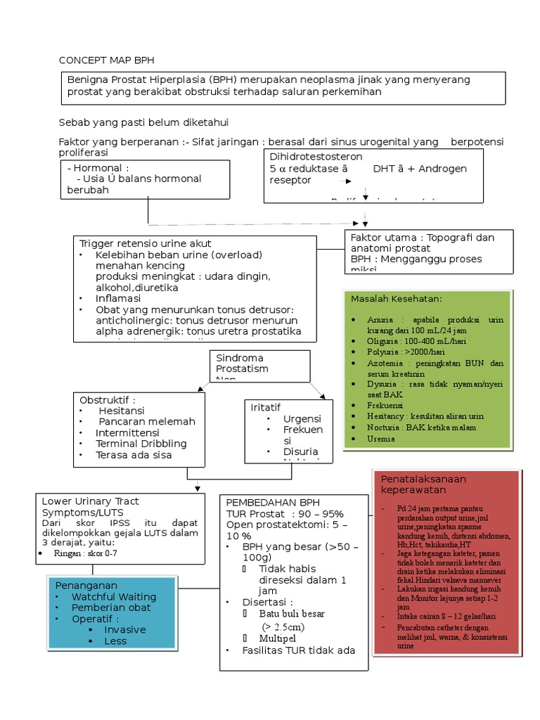Concept Map BPH | PDF