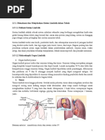 Anatomi Kelenjar Timus | PDF