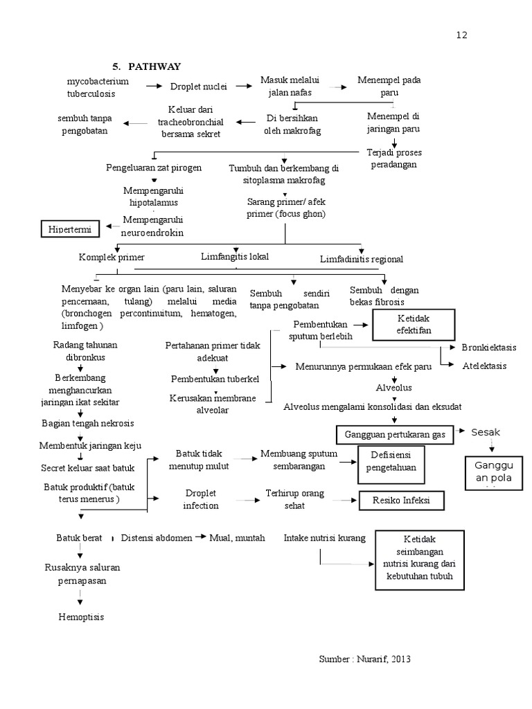 Pathway Tuberkulosis Paru pada Anak | PDF