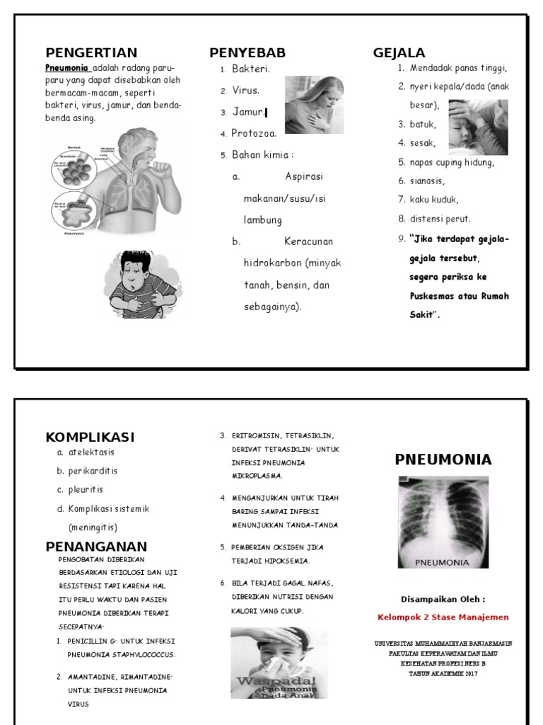 Leaflet Pneumonia | PDF