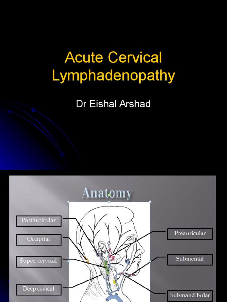 Acute Cervical Lymphadenopathy Overview | PDF | Lymphatic System ...