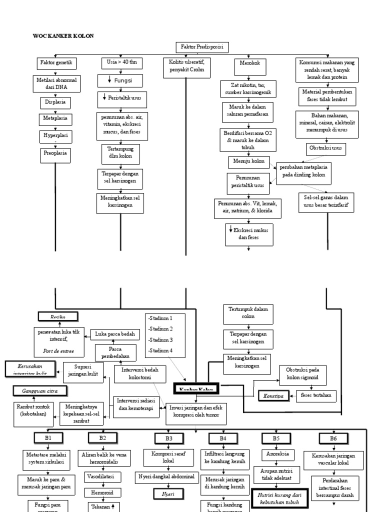 Woc Kanker Kolon | PDF