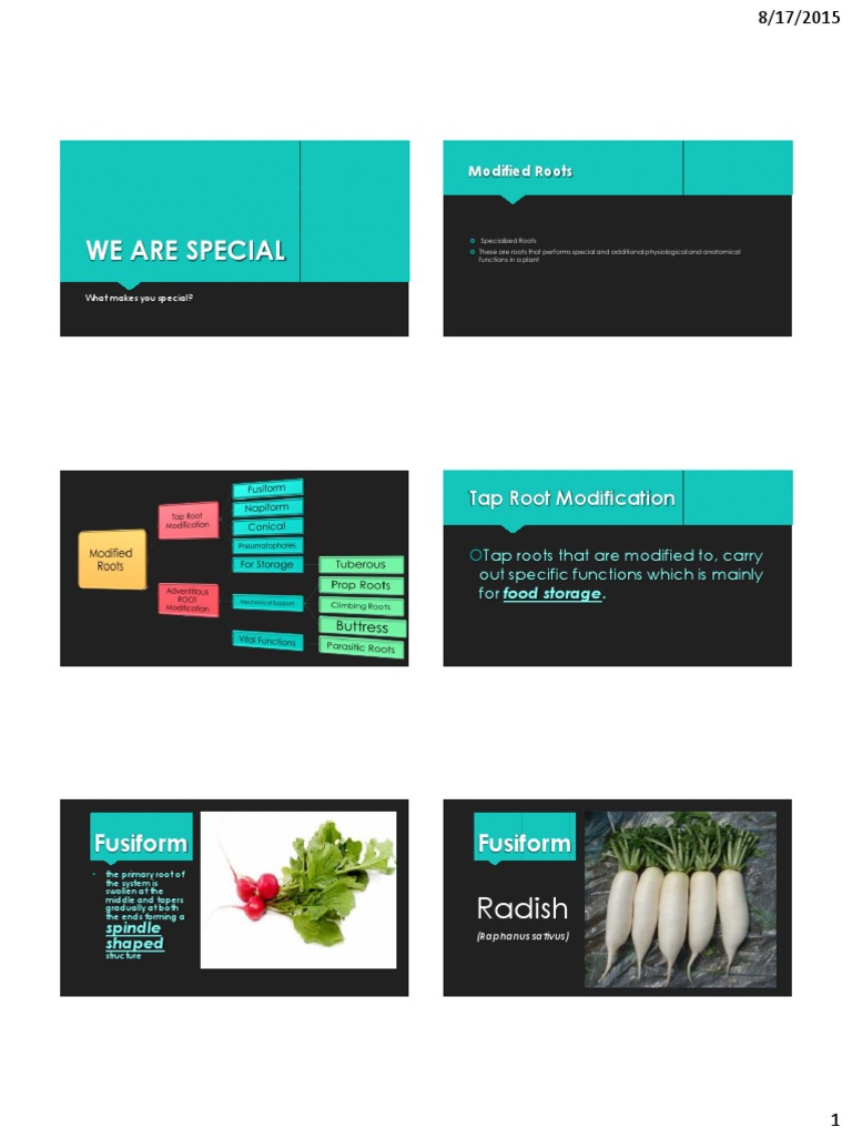 Modified Roots | PDF | Organisms | Branches Of Botany