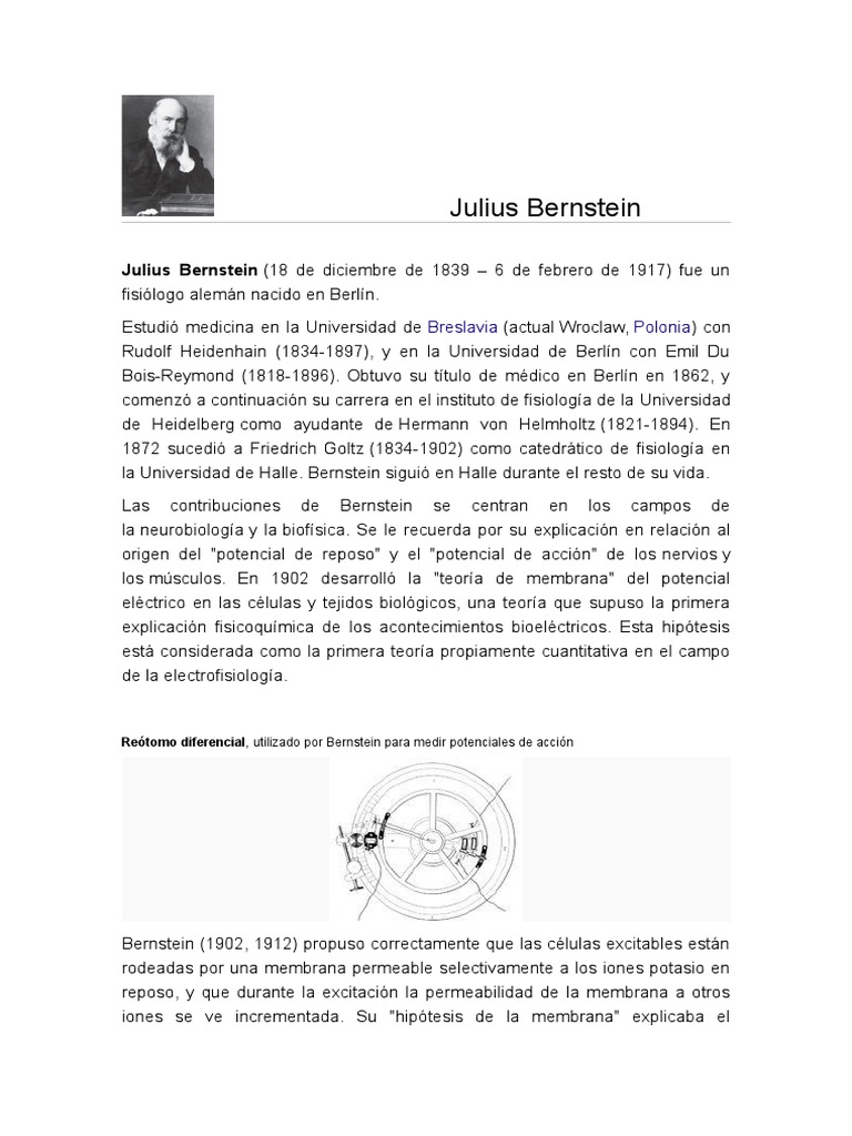 Julius Bernstein | PDF | Anatomía | Sistema nervioso