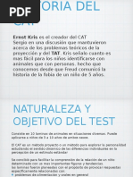 Test de Apercepción Infantil CAT-A | PDF | Carné de identidad | León