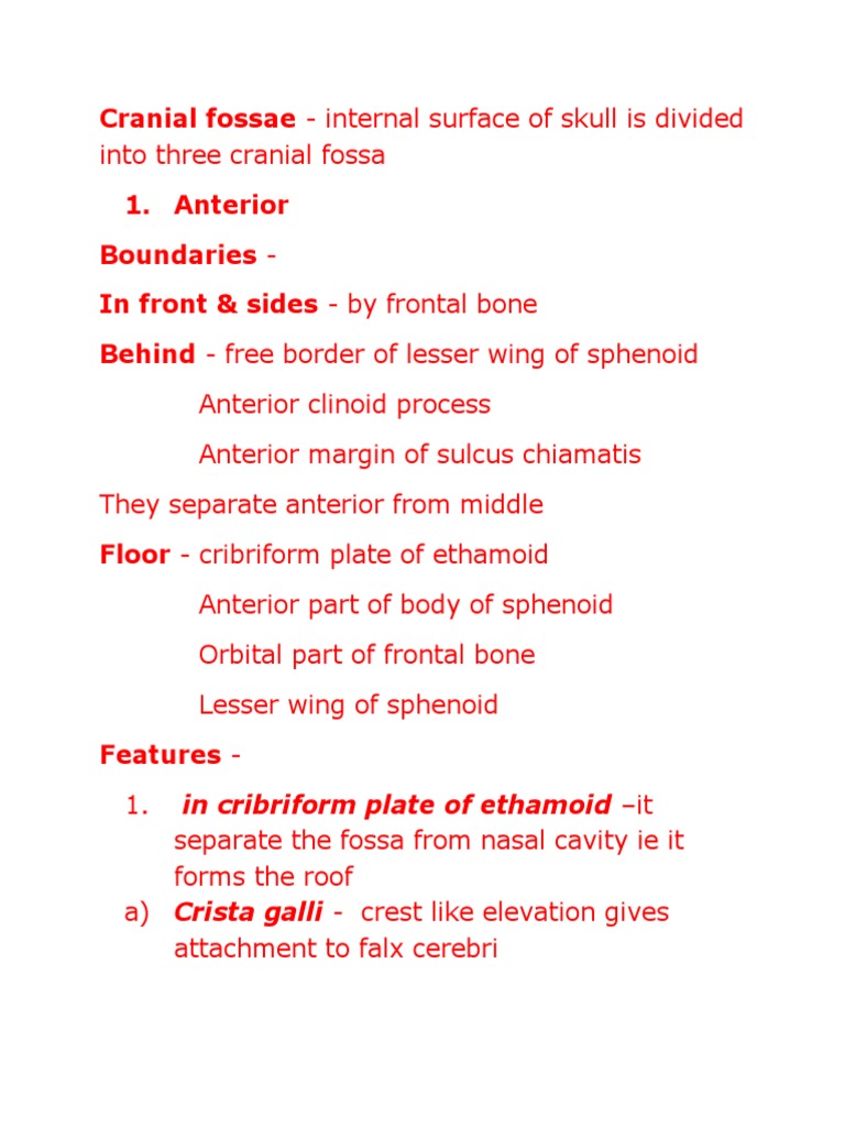 Cranial Fossa | PDF | Human Head And Neck | Human Anatomy