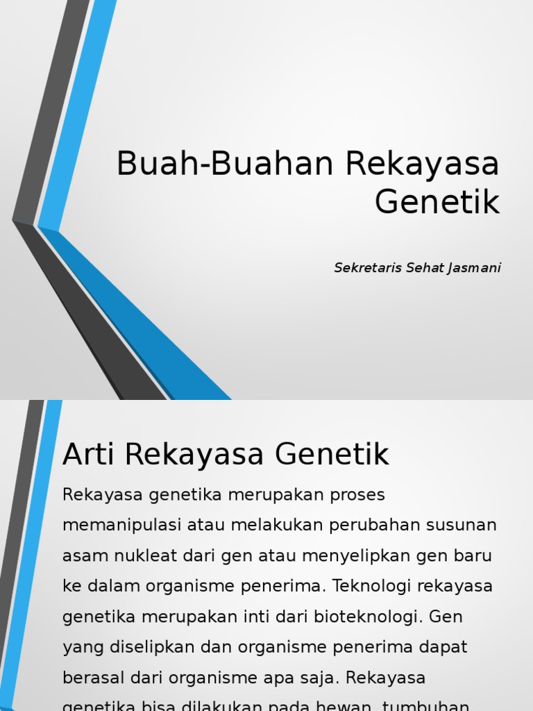 Buah-Buahan Rekayasa Genetik | PDF