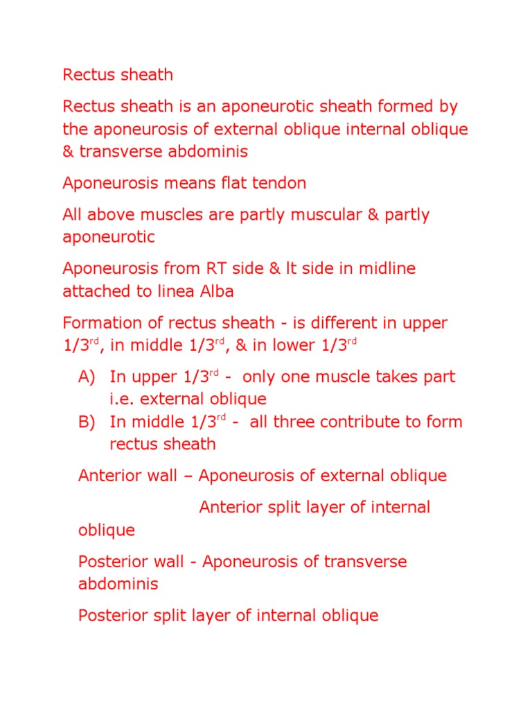 Anatomy of the Rectus Sheath Explained | PDF