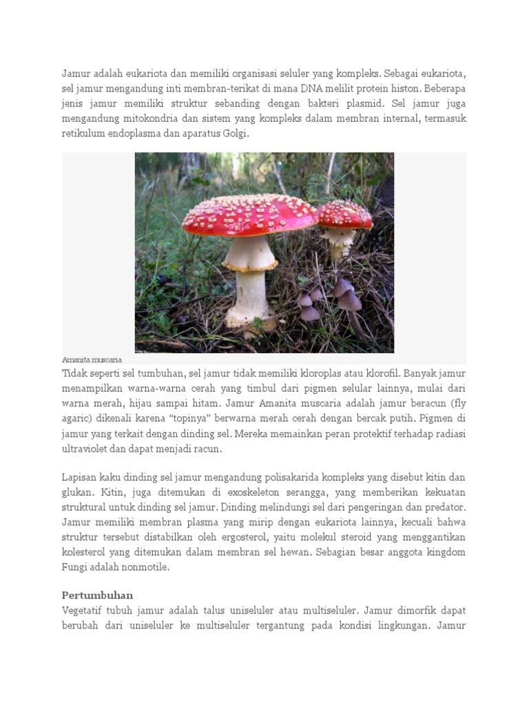 Materi Jamur Struktur Sel Amel | PDF