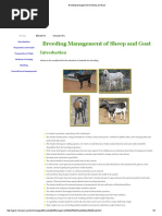 Goat and Sheep Reproductive Systems Guide | PDF | Reproductive System ...