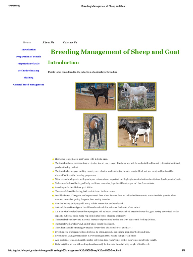 Breeding Management of Sheep and Goat | PDF | Sheep | Goat