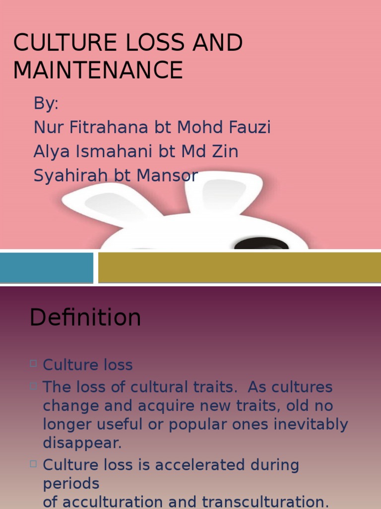Understanding Culture Loss and Maintenance | PDF