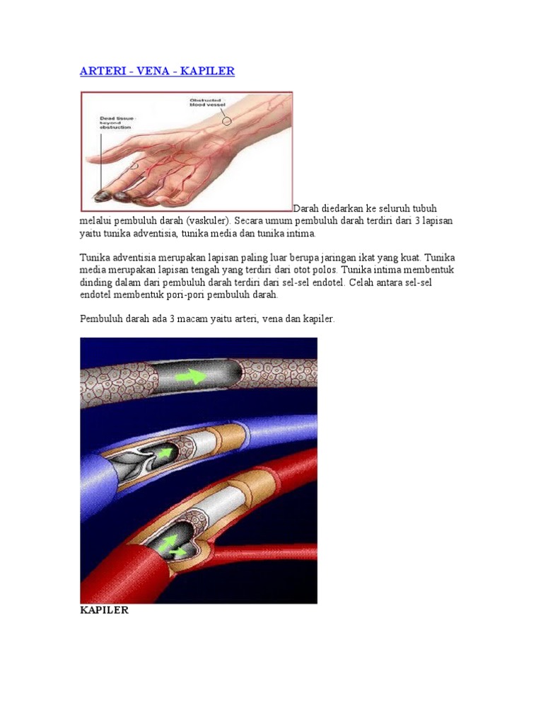ARTERI | PDF | Klasik