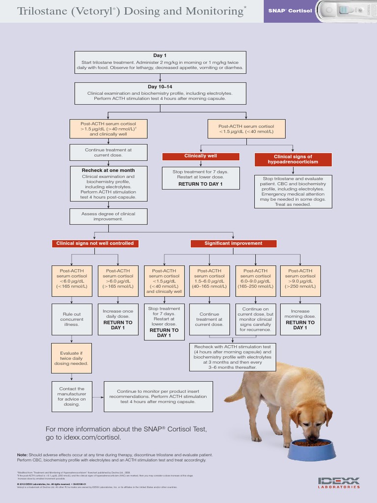 Trilostane Dosing Monitoring | Cortisol | Clinical Medicine