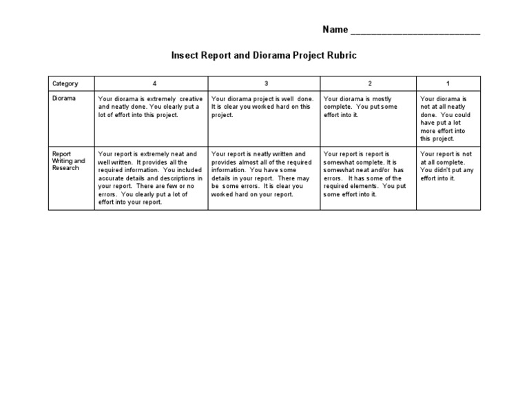 Insect Diorama Project Rubric | PDF | Computers