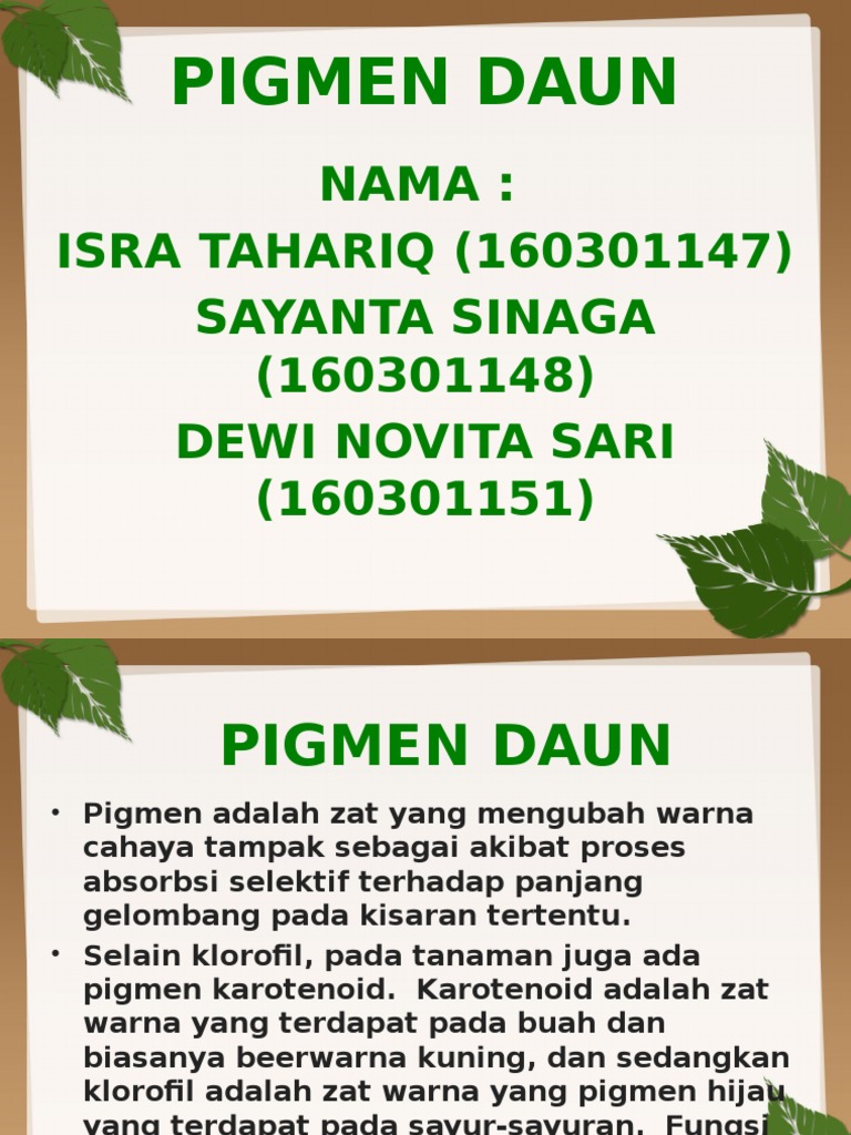 Pigmen Daun | PDF