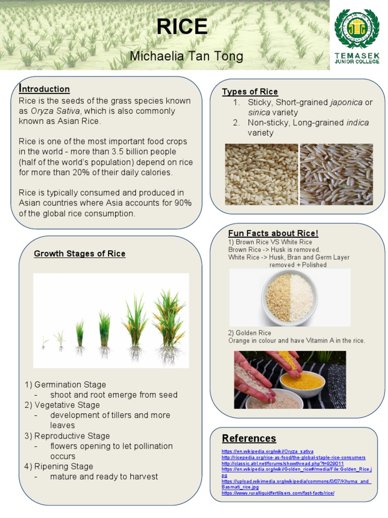 Template For Crops | PDF