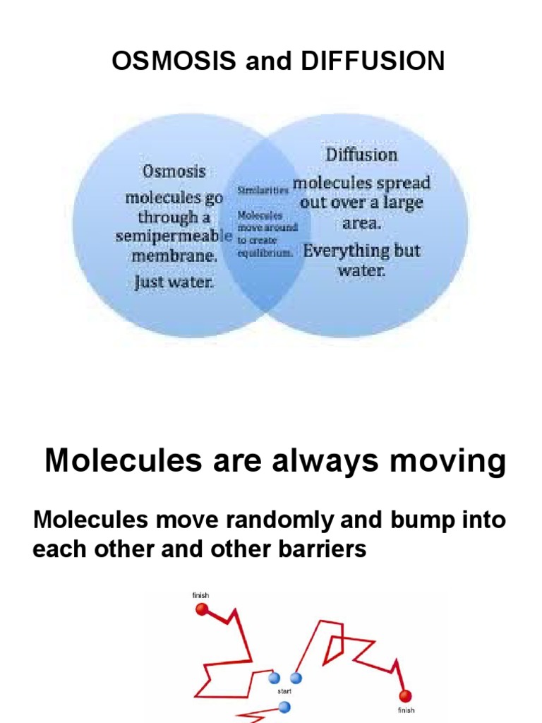 Diffusion vs. Osmosis Explained | PDF | Osmosis | Materials Science