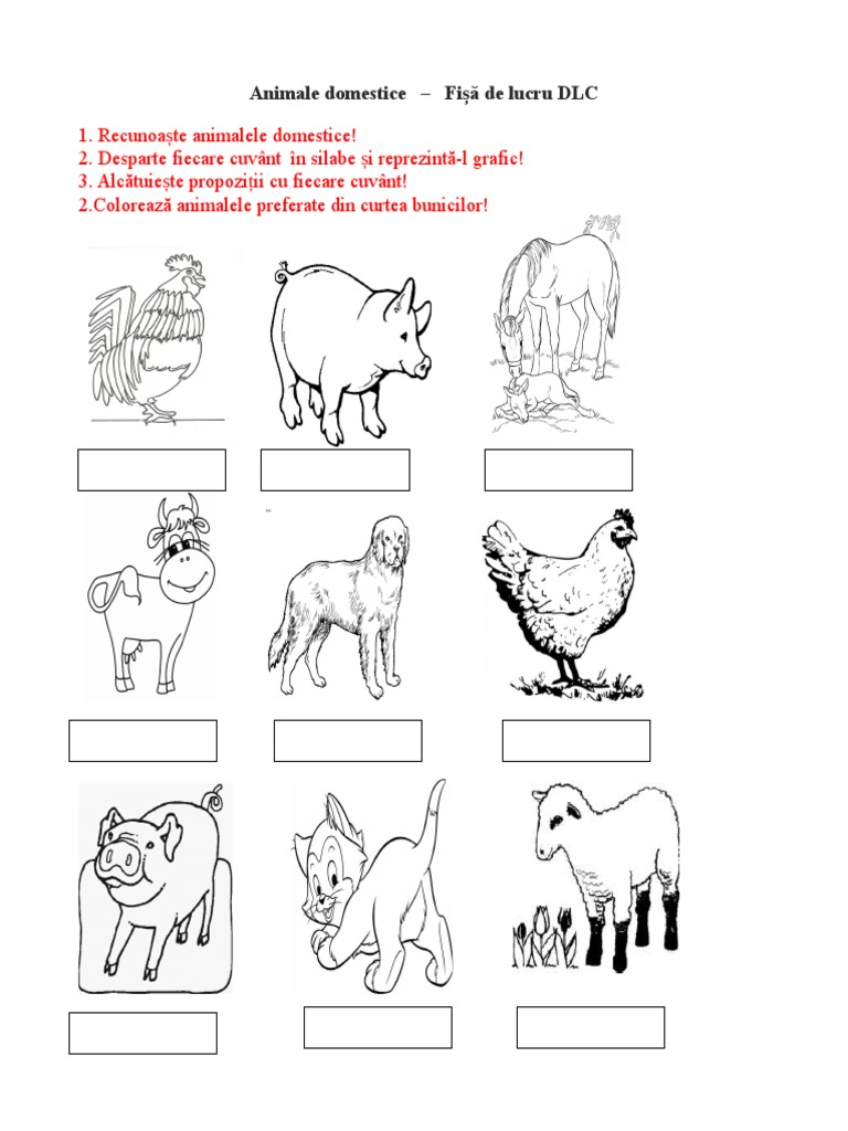 1 Animale Domestice - Doc Fisa DLC | PDF