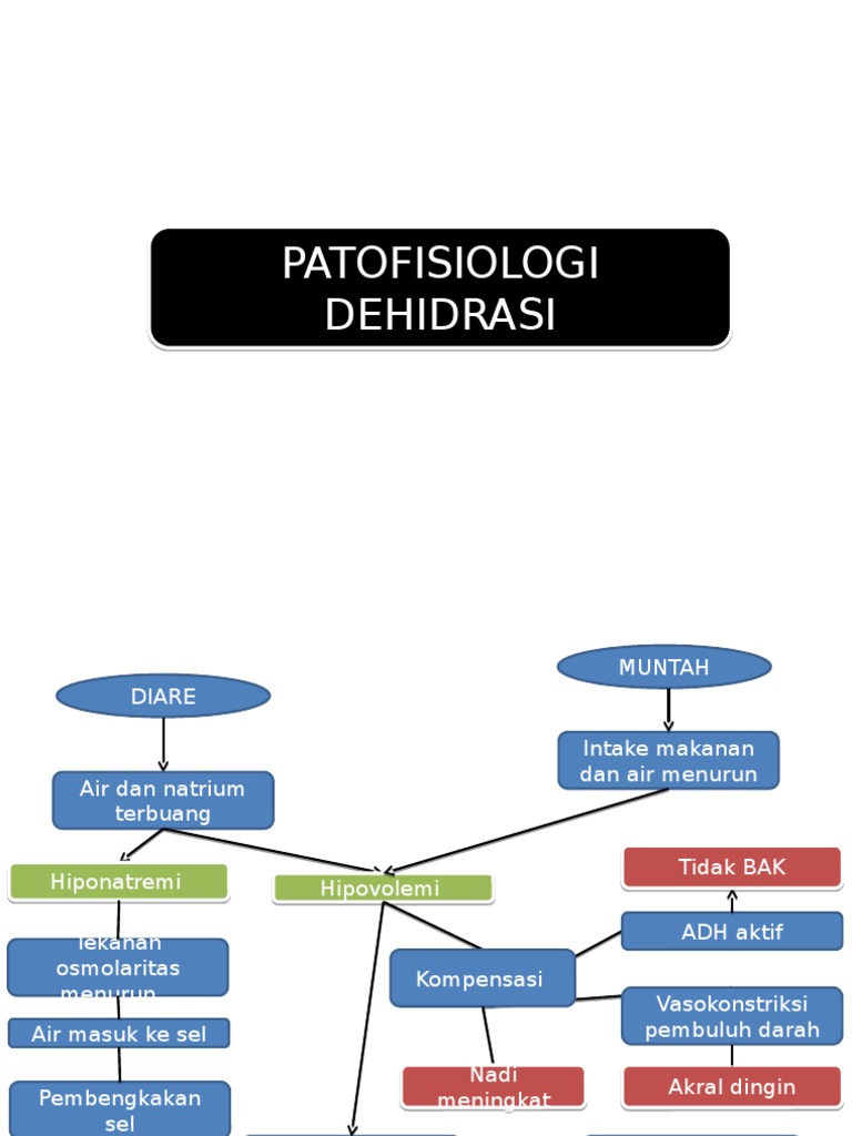 Patofisiologi Dehidrasi | PDF