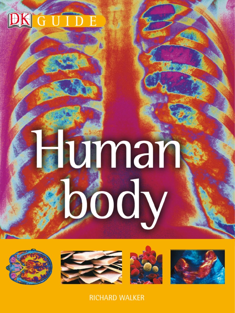 DK Guide To The Human Body PDF | PDF | Bone | Human Body