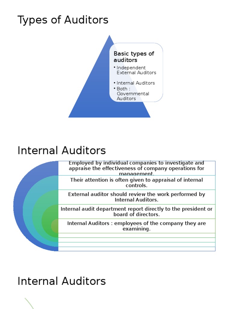 Types of Auditor | PDF