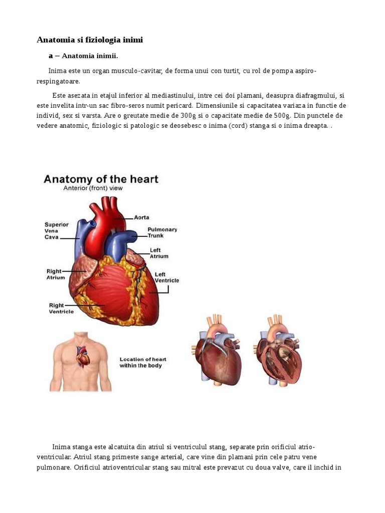 Anatomia Inimii