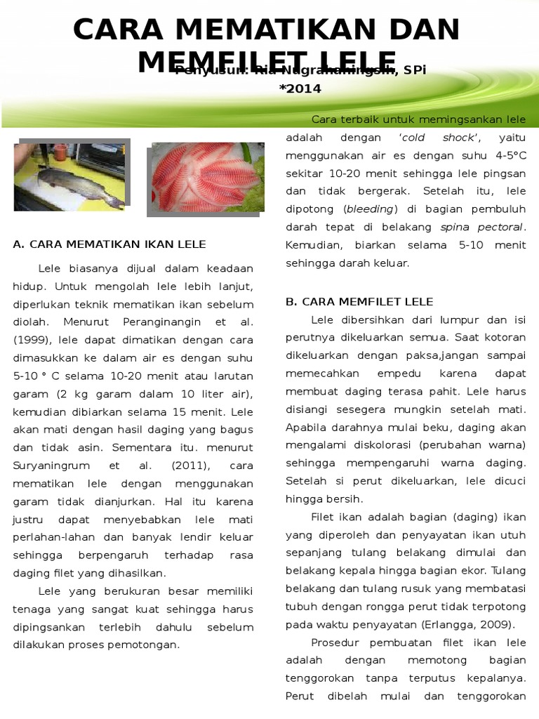 Leaflet Cara Mematikan Dan Memfilet Lele | PDF
