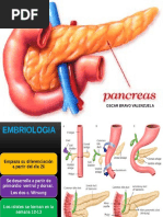 PANCREATITIS AGUDA. Presentación PowerPoint | PDF | Páncreas | Especialidades Medicas