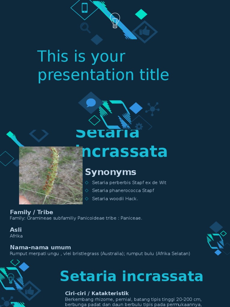 Rumput Dan Legum | PDF