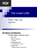 Lower Segment Caesarean Section (LSCS) : Definition, Indications, Types ...