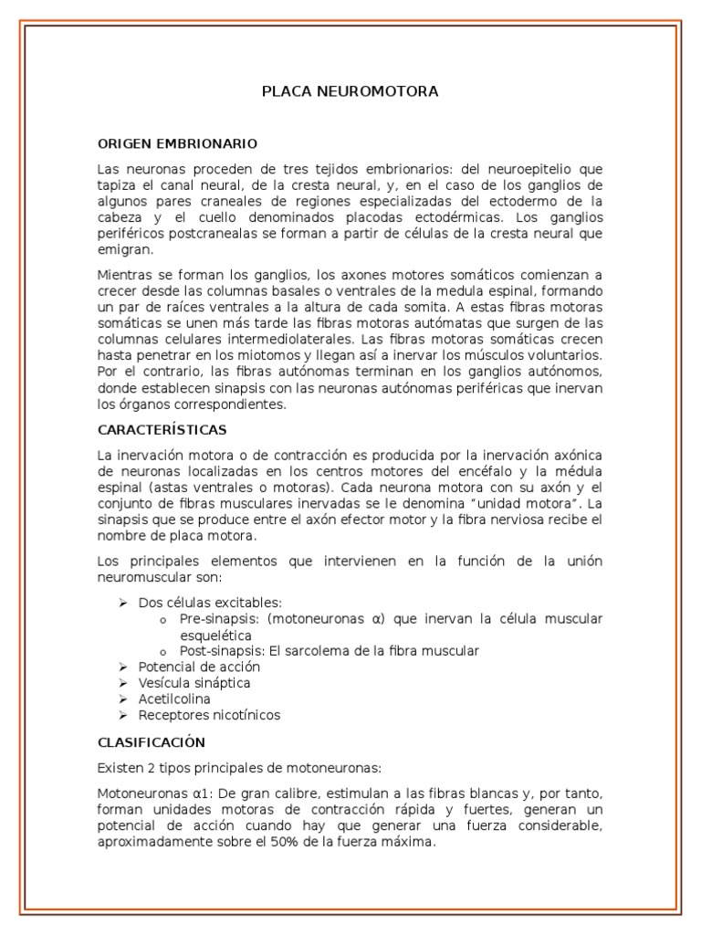 Placa Neuromotora - Daniel.sixtos | PDF