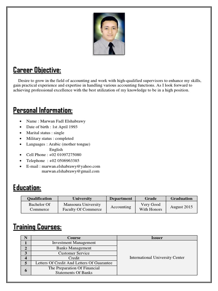 C.V (Marwan Fadl Elshabrawy) | PDF | Accounting | Banks
