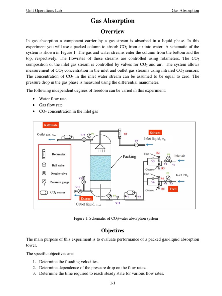 Gas Absorption | PDF | Absorption (Chemistry) | Gases