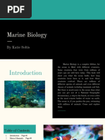 Coral Identification Guide for Divers | PDF | Coral | Coral Reef